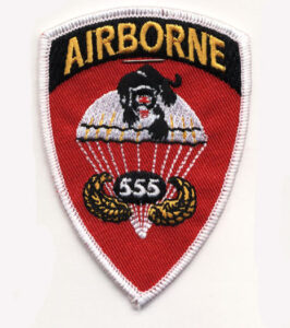 Pioneering Black Army Units in World War II | NVMM